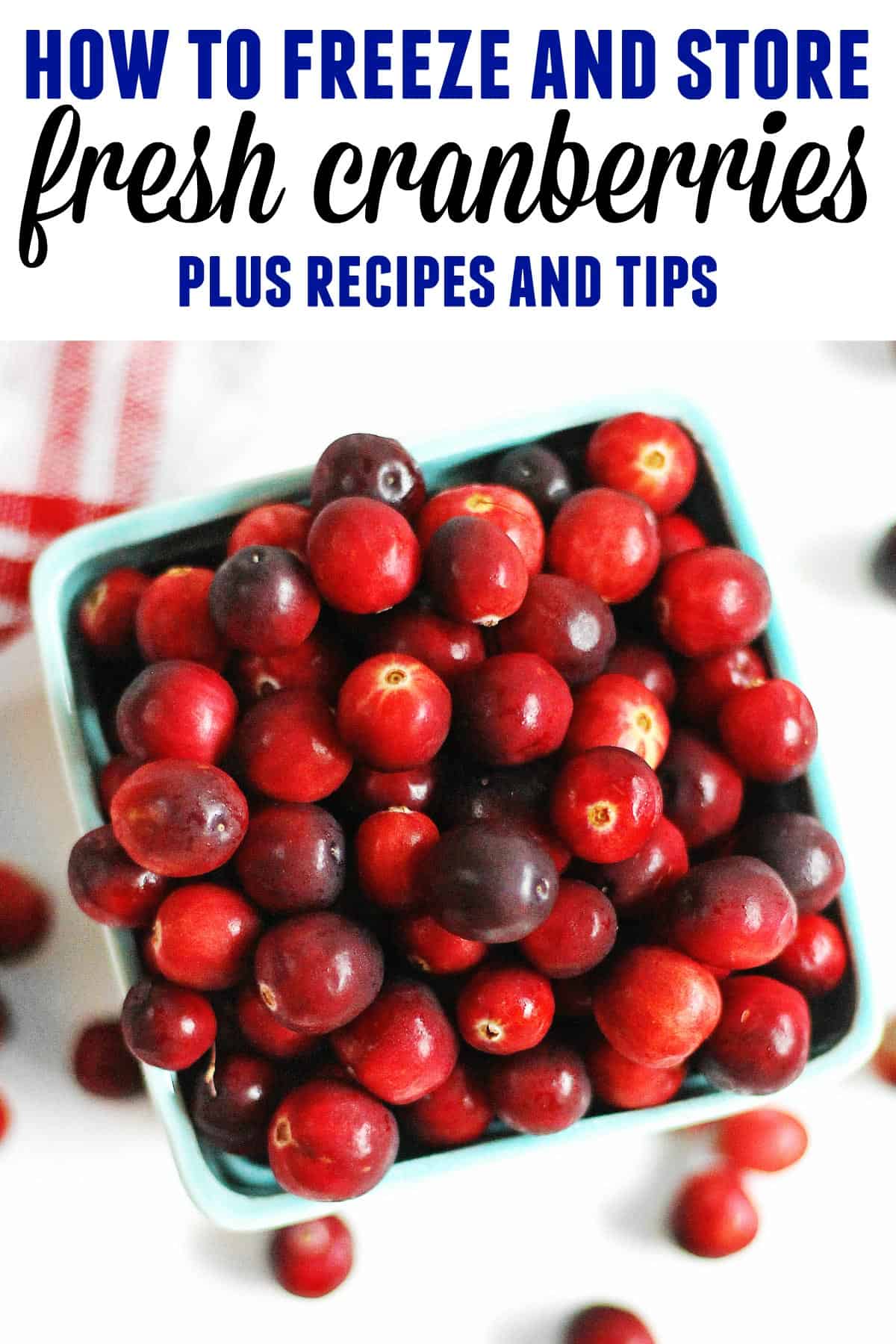 All about cranberry! A beginner's guide - Rhubarbarians