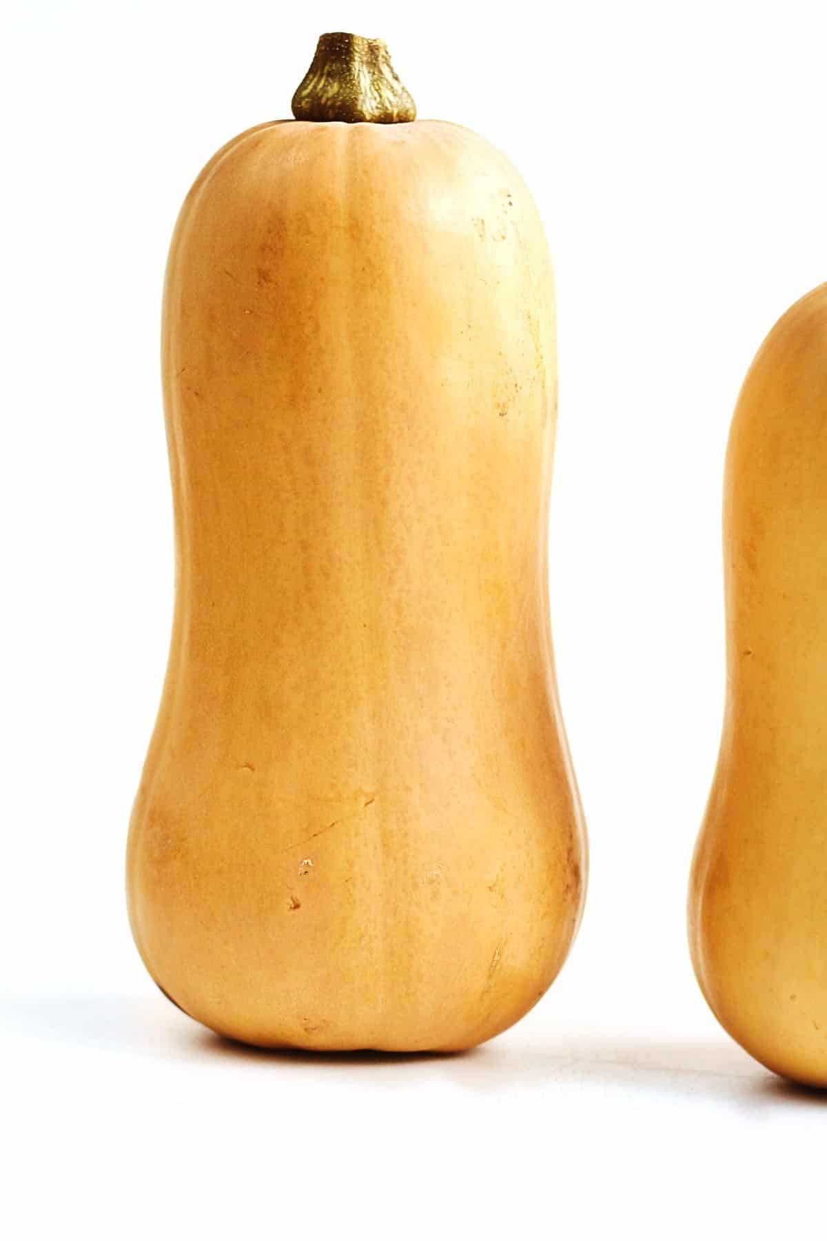 All about butternut squash: A beginner's guide - Rhubarbarians