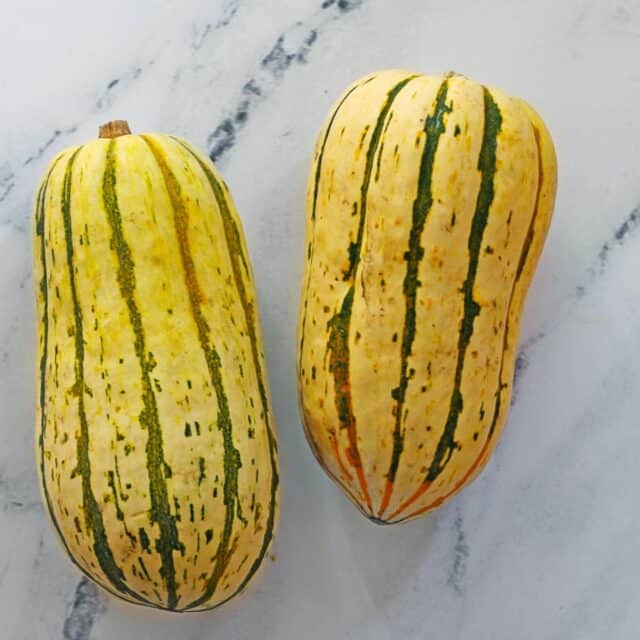 Delicata squash: everything you need to know - Rhubarbarians